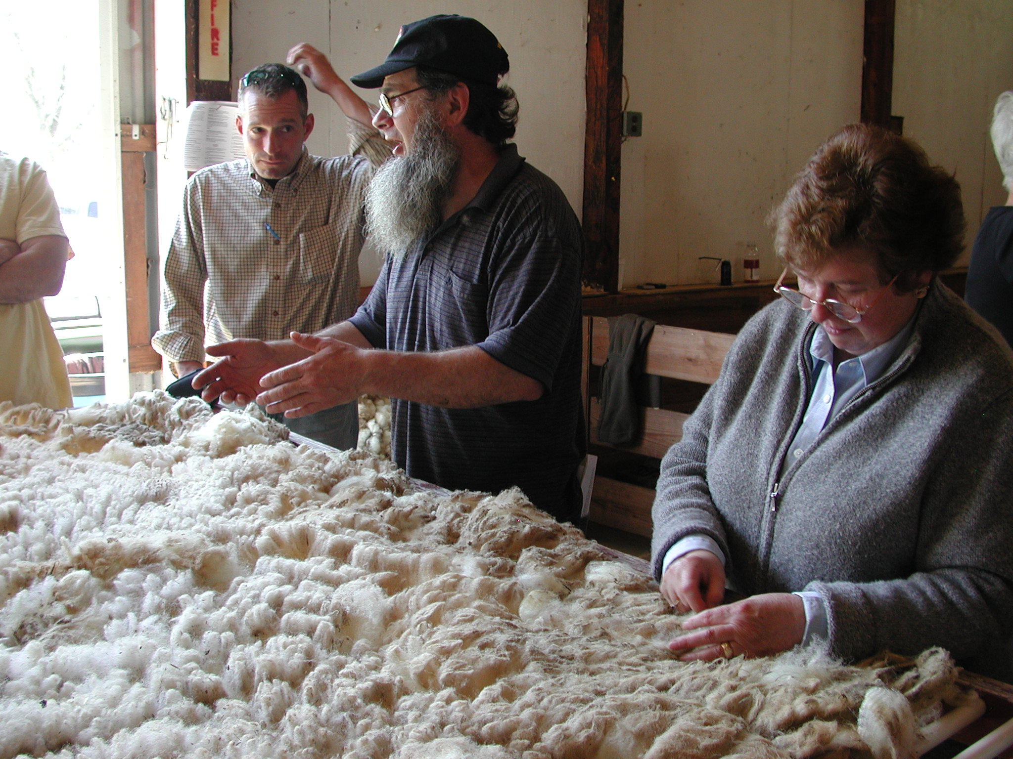 Sheep, Wool, Fiber – Spring Festivals Ahead – Moo Dog Knits