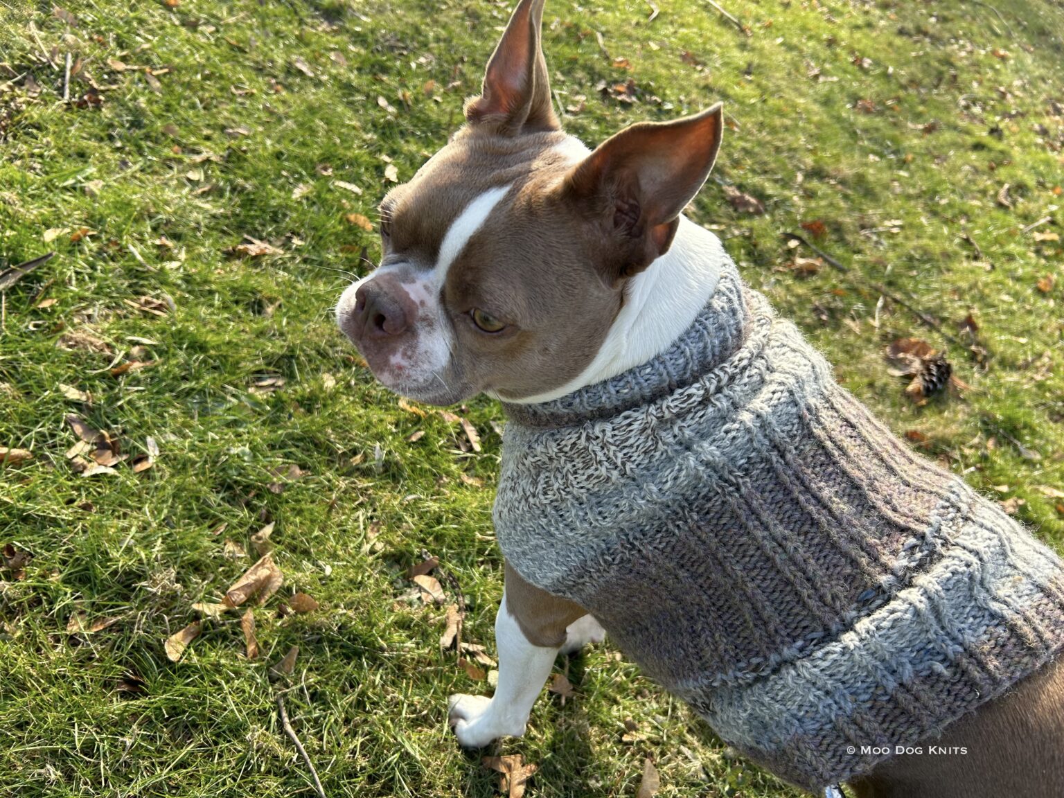 Moo Dog Knits - Magazine "Knitting Up Life"